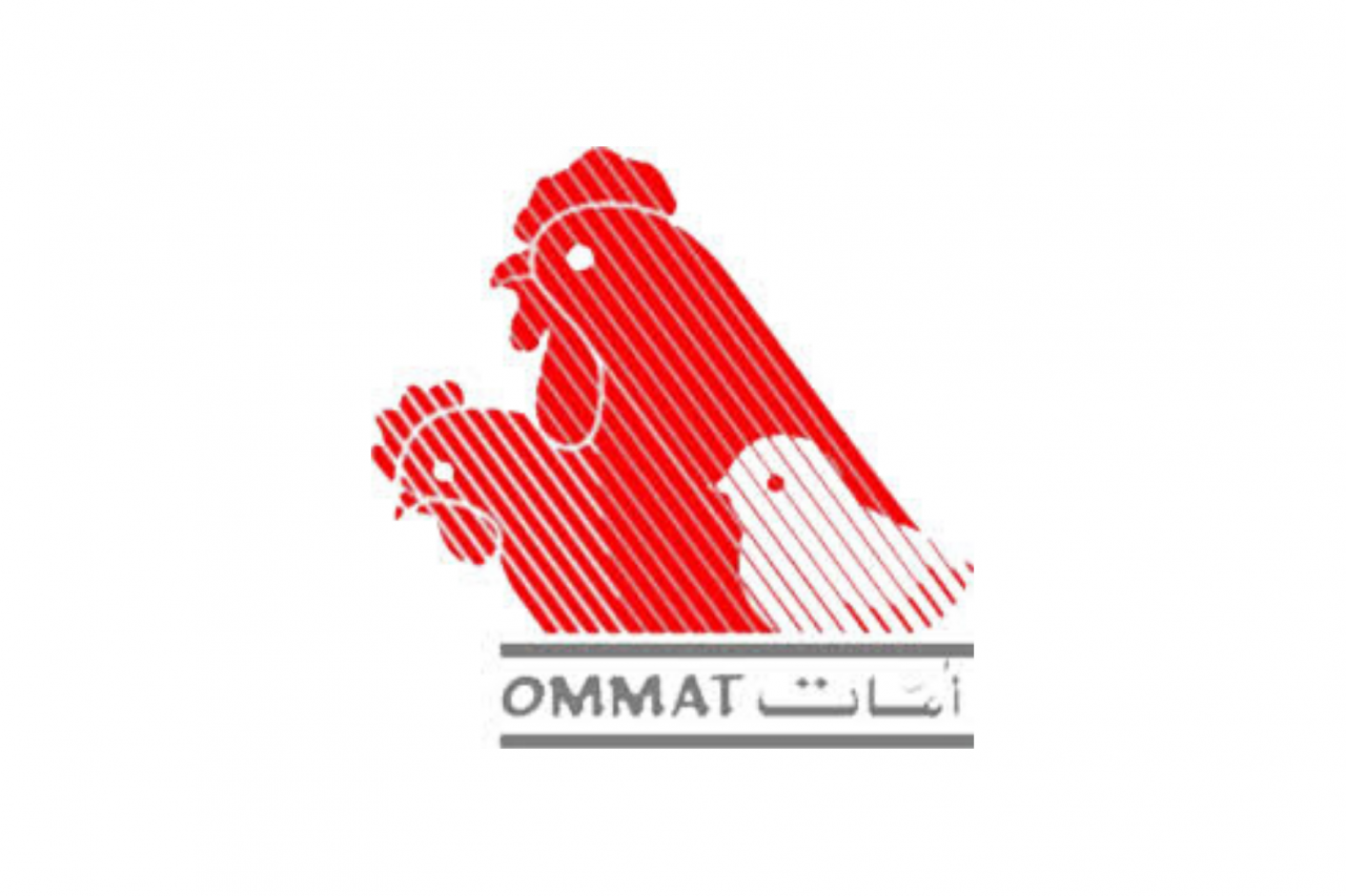 One day old layer chicks in GCC countries - VIV MEA